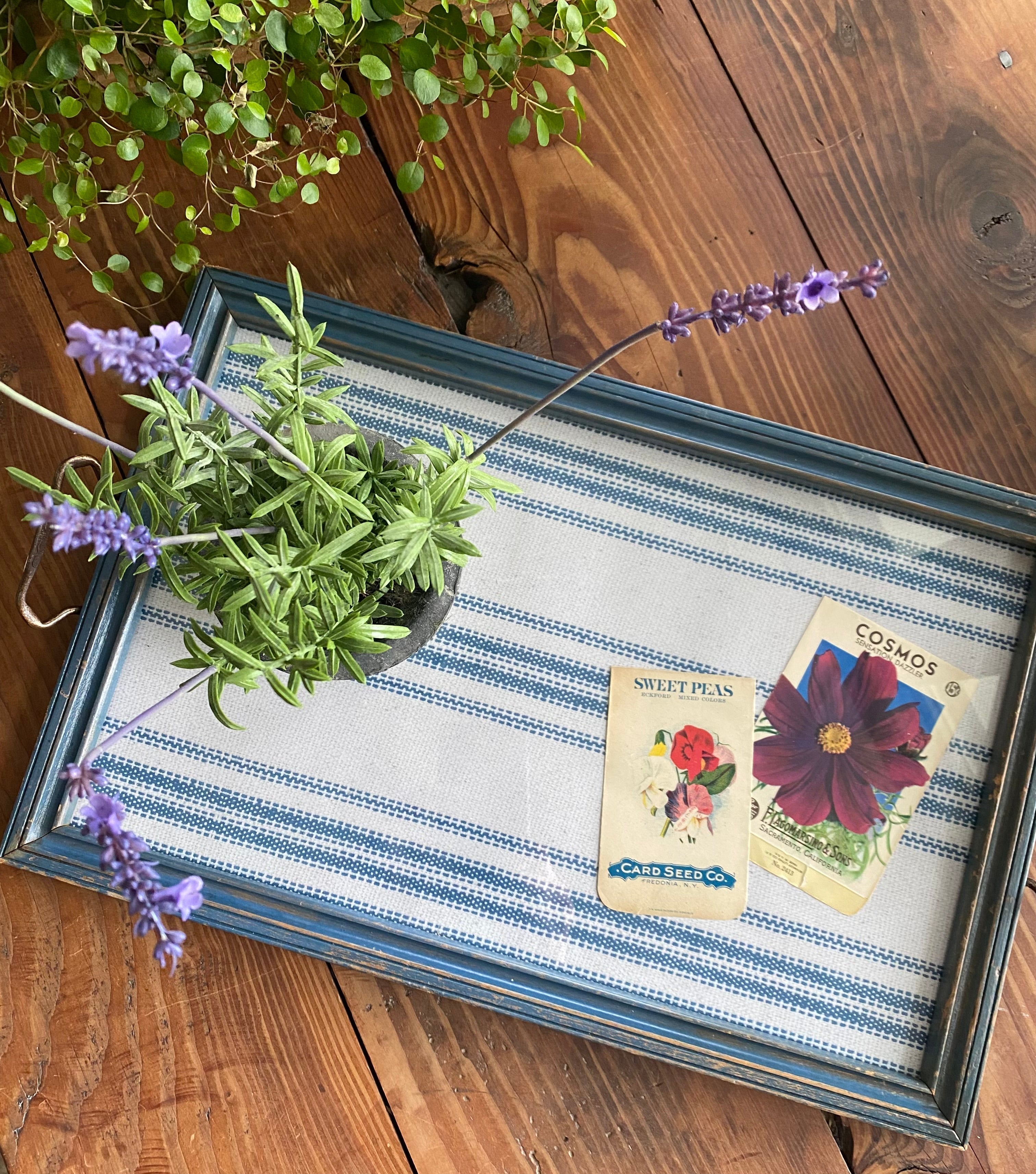 Beyond the Table: Four Fun and Creative Ideas for Ticking Stripe Paper ...