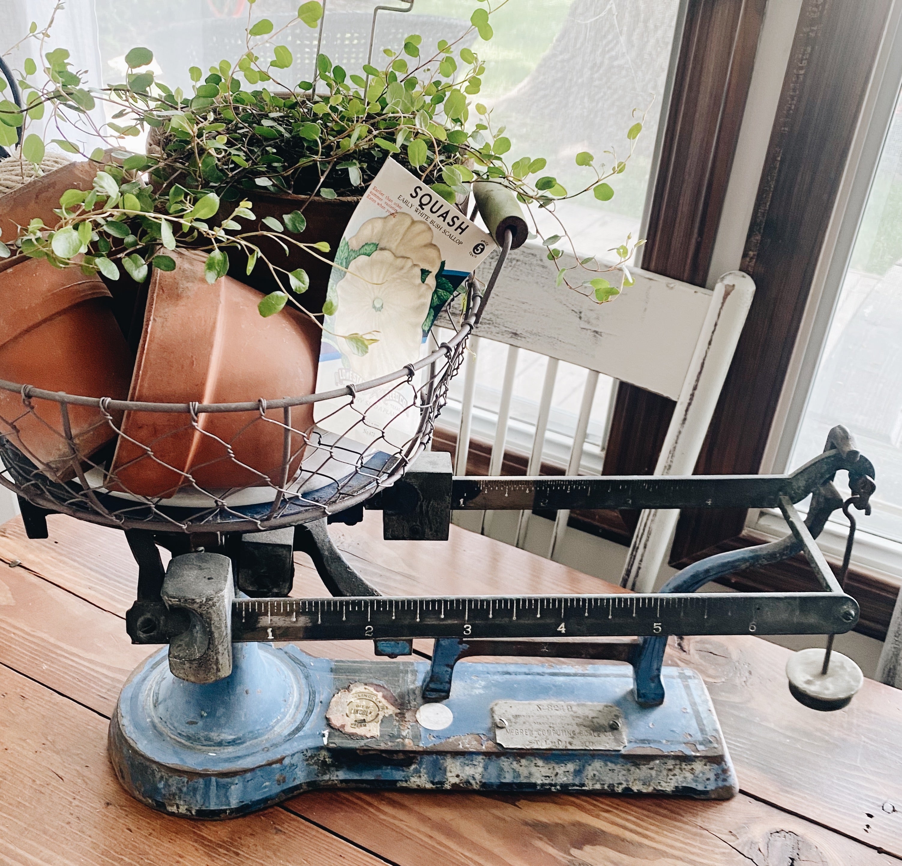A Chicken Wire Basket Isn't Just for Eggs! – WS Mercantile